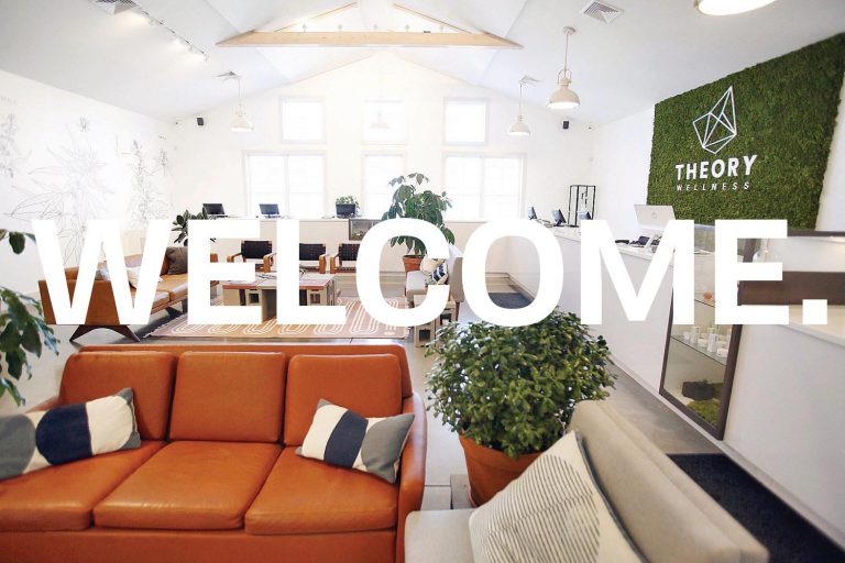 Welcome to Theory Wellness | Recreational Dispensary Great Barrington