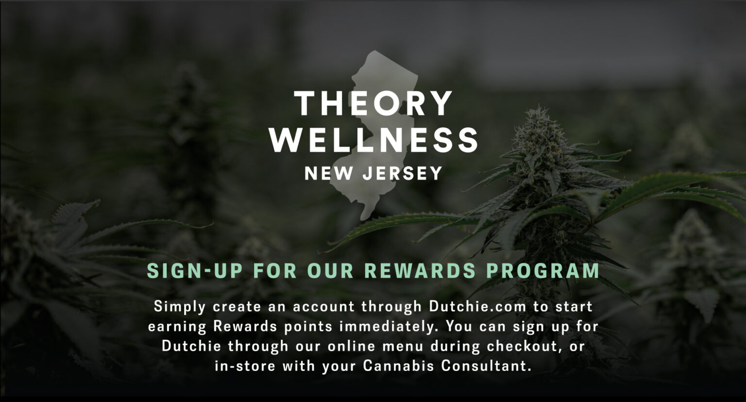 Loyalty Rewards Program | Trenton Dispensary | Theory Wellness